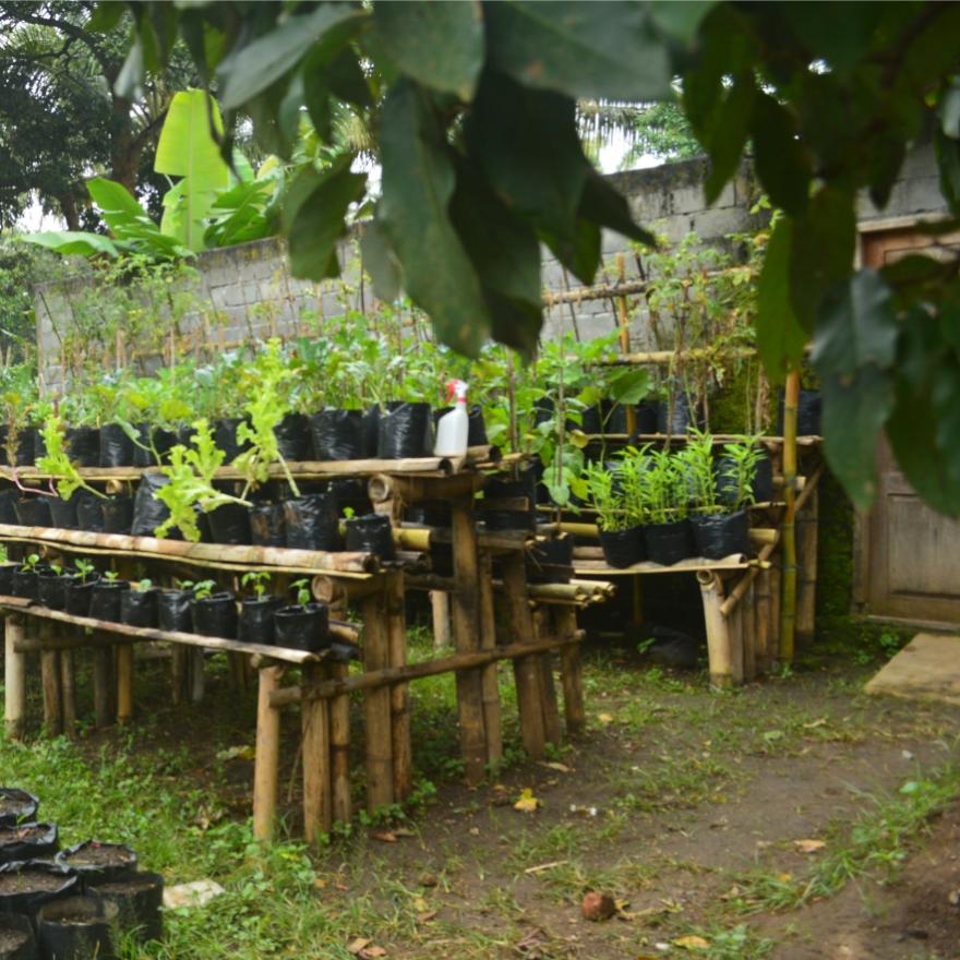 Meningkatkan Ketahanan Pangan: Pemanfaatan Lahan Pekarangan untuk Urban ...